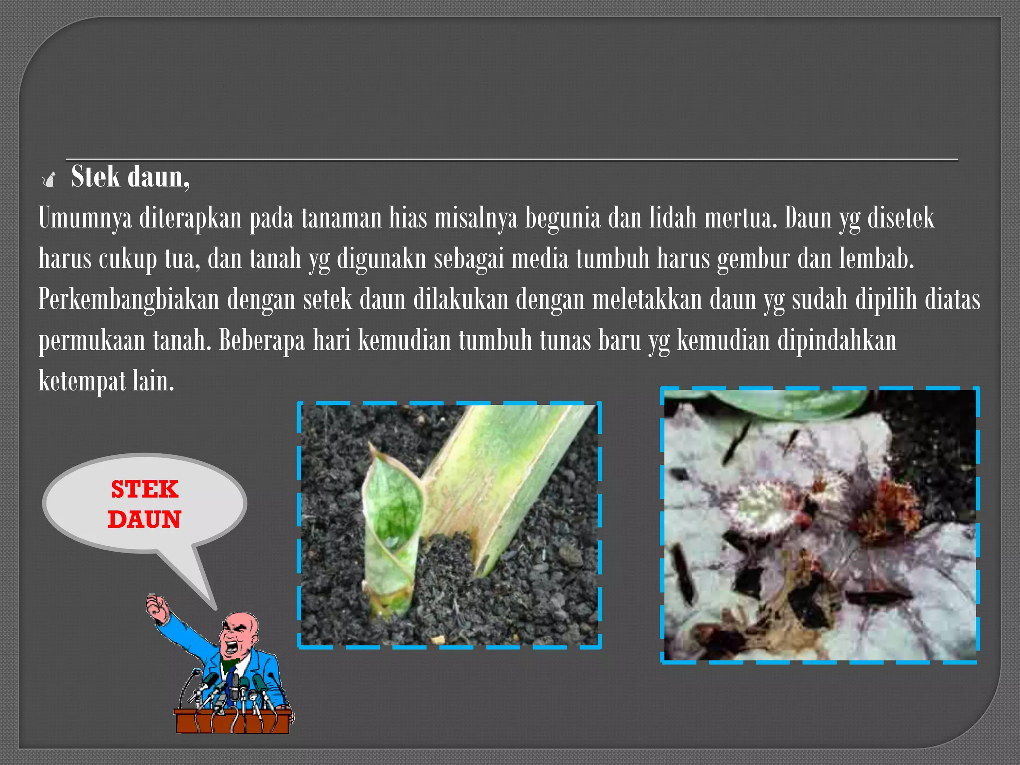 Pertanian organik, fluktuasi harga produk hortikultura dan perbanyakan ...