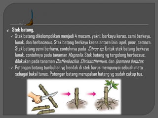 Pertanian organik, fluktuasi harga produk hortikultura dan perbanyakan ...