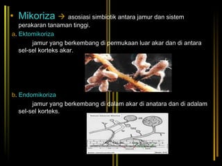 Pertanian organik ramah lingkungan menggunakan mikroba | PPT