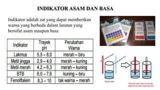 Asam-Basa.pptx