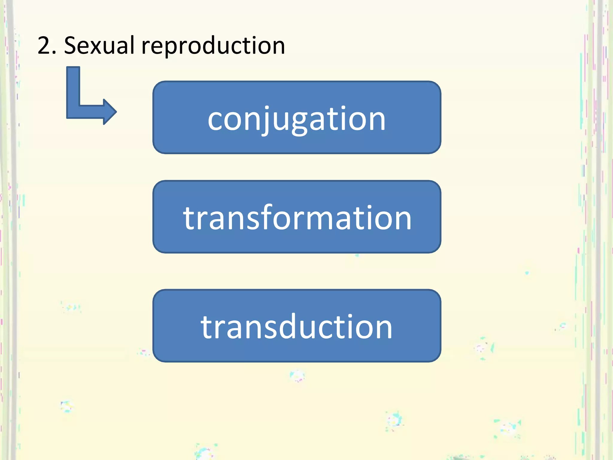 EUKARIOT DAN PROKARIOT | PPT