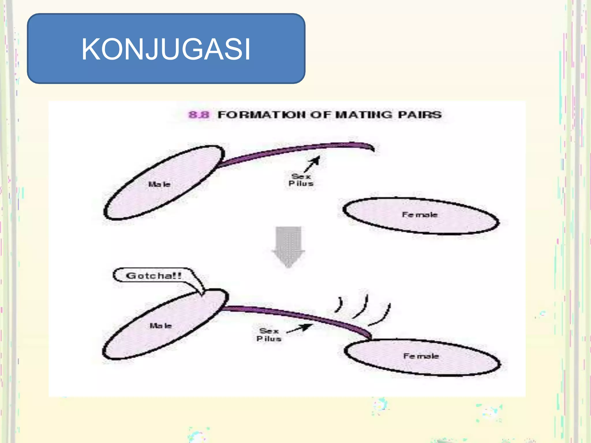 EUKARIOT DAN PROKARIOT | DOCX