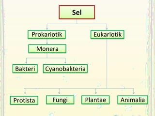 EUKARIOT DAN PROKARIOT | DOCX