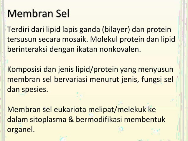 EUKARIOT DAN PROKARIOT | PPT