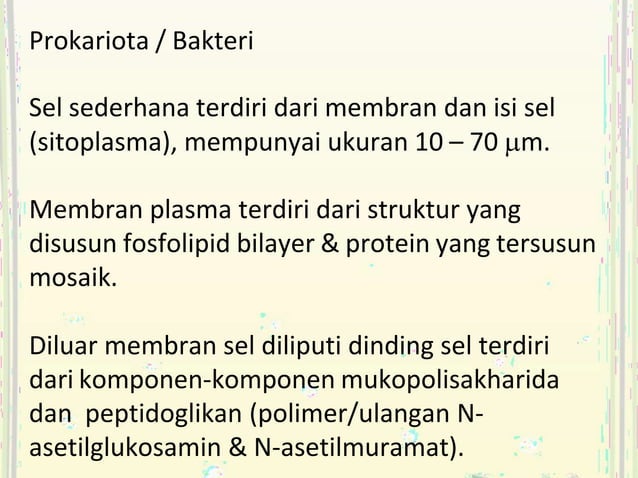 EUKARIOT DAN PROKARIOT | PPT