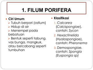 Materi Biologi kelas X (Filum Porifera dll) | PPT