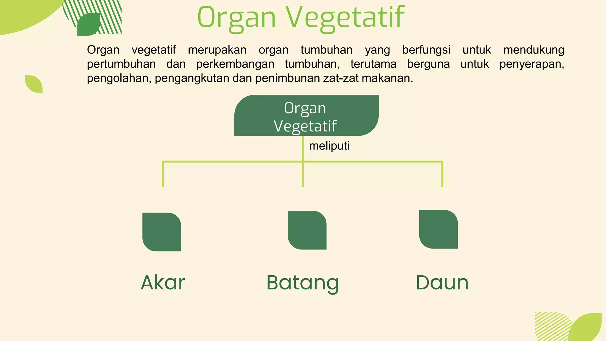 Pertemuan 1. struktur dan fungsi organ akar, batang, daun | PPTX