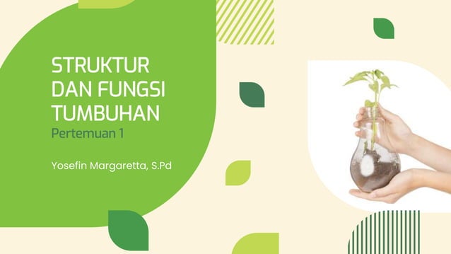 Pertemuan 1. struktur dan fungsi organ akar, batang, daun | PPTX