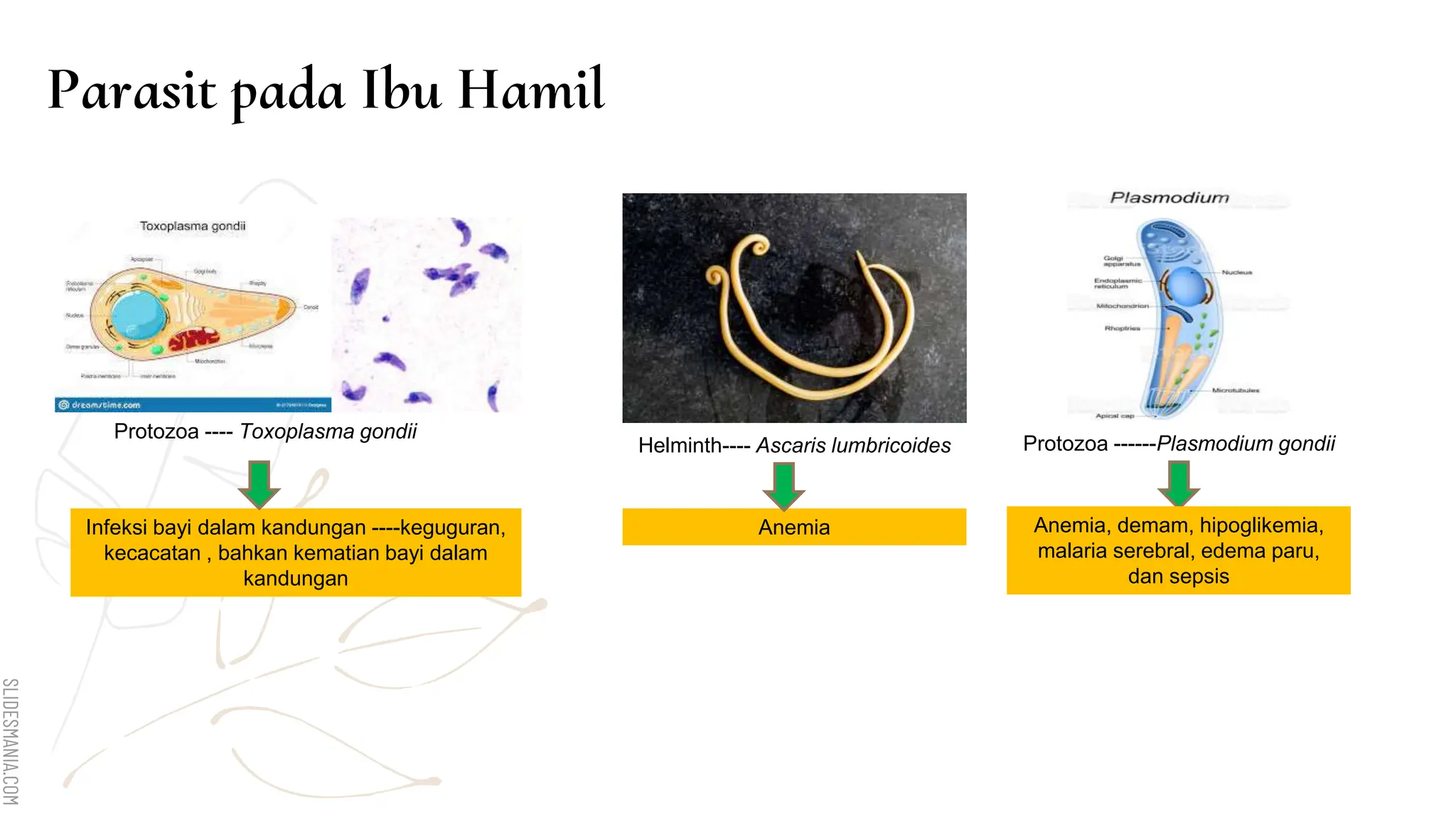 Pertemuan 1.Mikrobiologi dan Parasitologipptx | PPTX