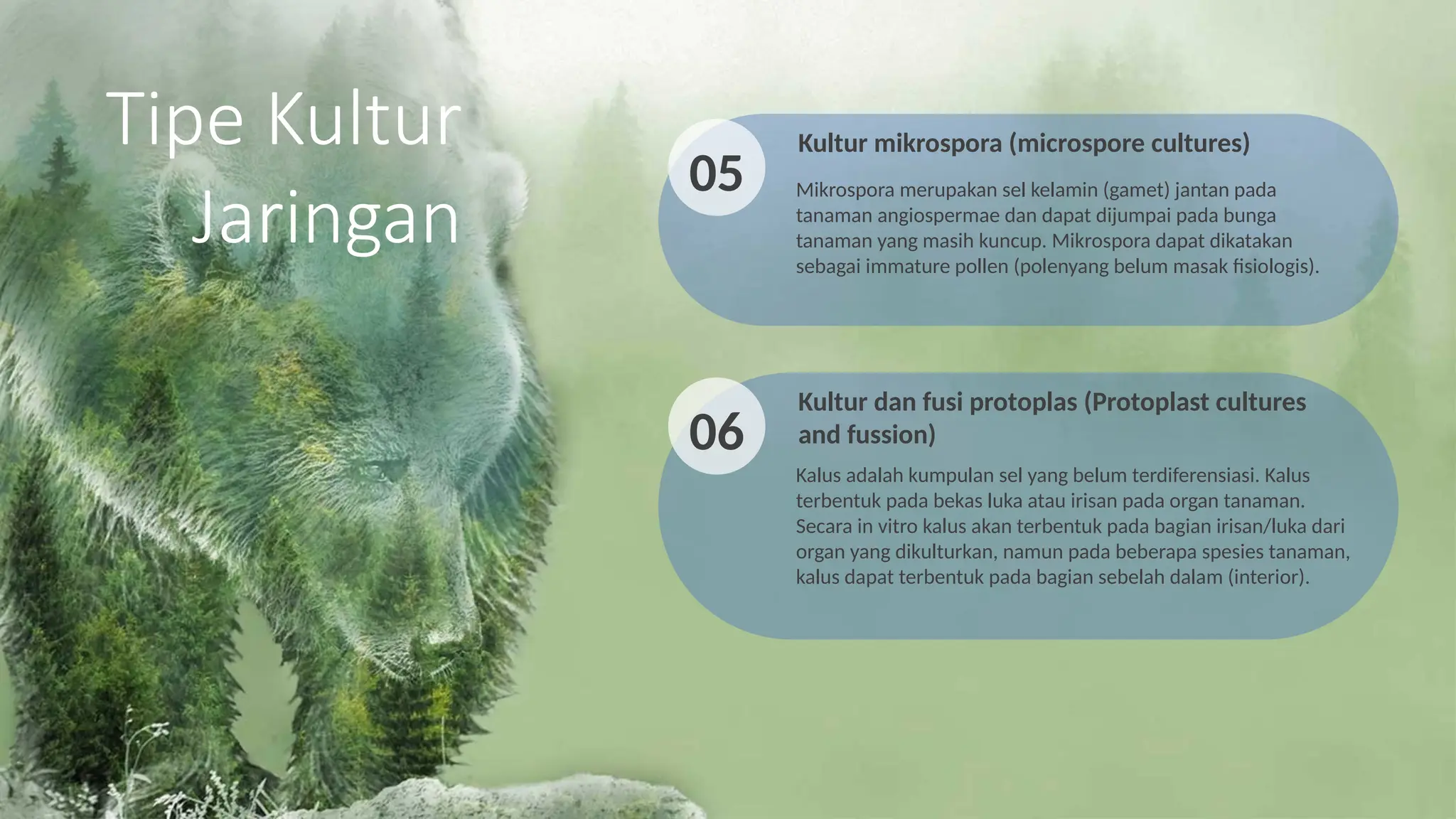 Pertemuan pertama pengenalan kultur jaringan tanaman.pptx