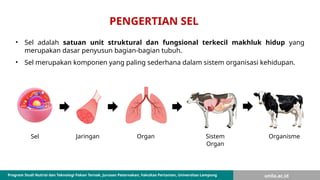 Struktur Sel Hewan dan Sel Tumbuhan - Materi Biologi | PPTX