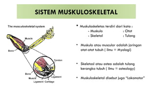 Muskuloskeletal & Sistem Metabolisme.pptx