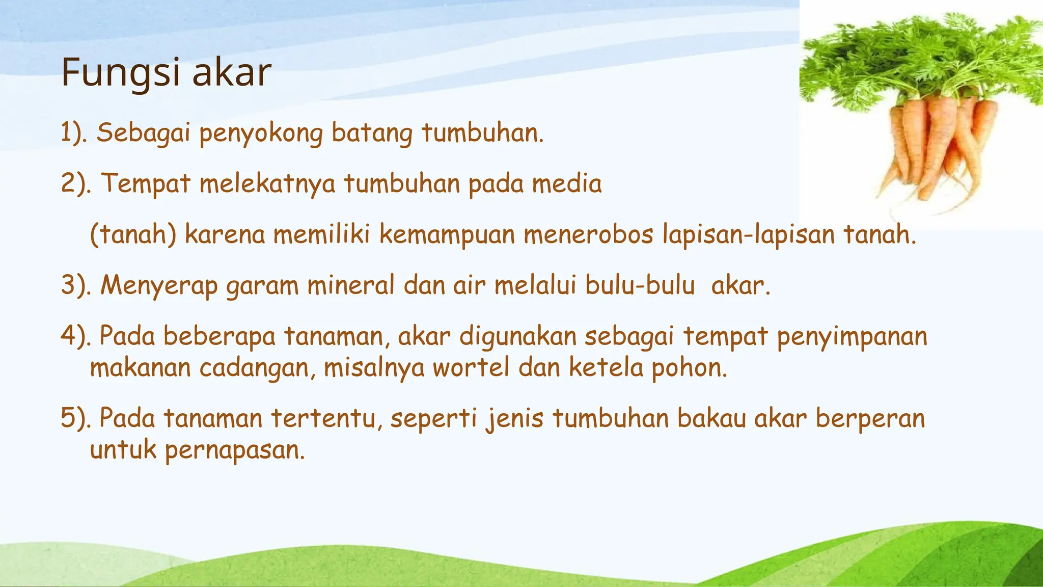 Pertemuan 10. Organ Akar pada Tumbuhan.ppt