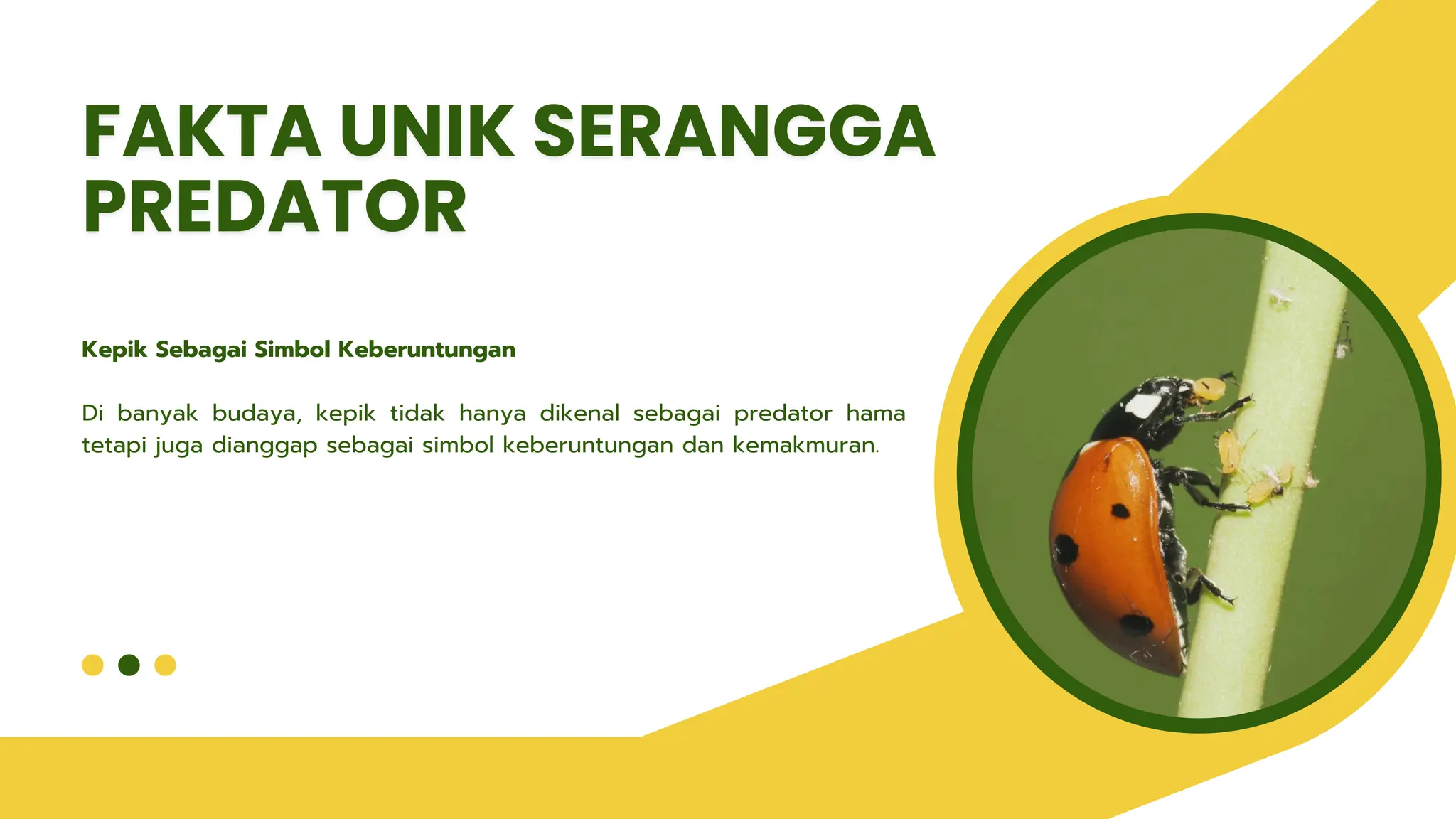 Pertemuan 10 Serangga Predator Bagian 2.pdf