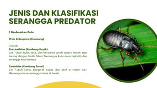 Pertemuan 10 Serangga Predator Bagian 2.pdf