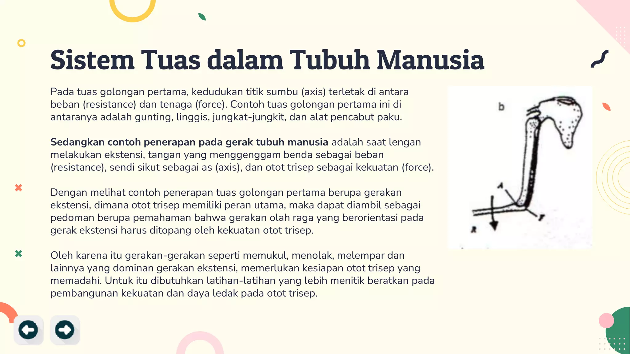 Sistem Tuas | PPTX