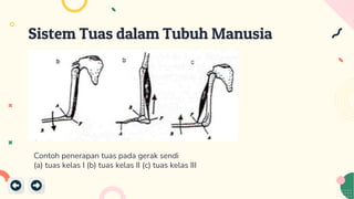 Sistem Tuas | PPTX