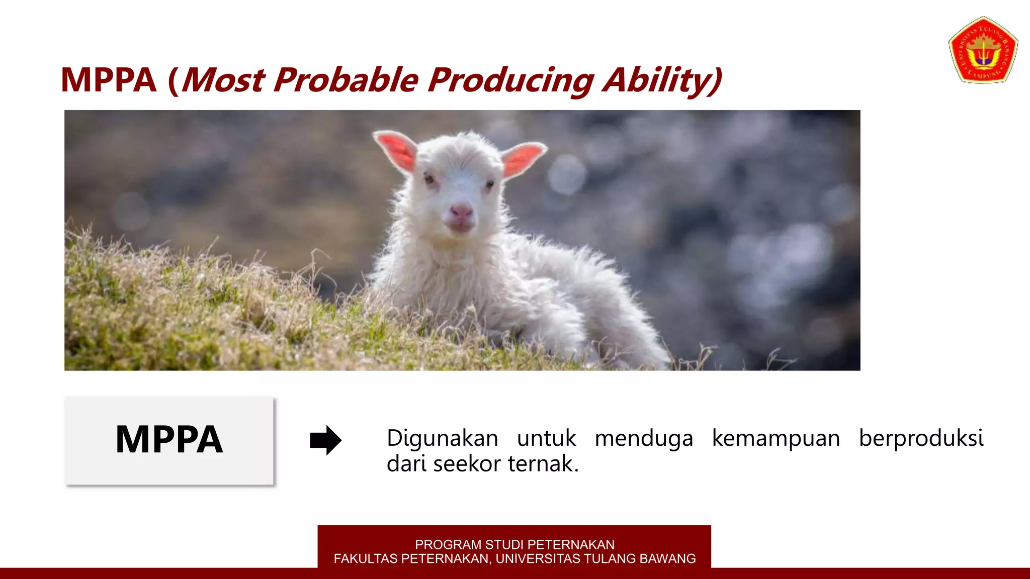 Korelasi Genetik, Nilai Pemuliaan, dan MPPA - Materi Pemuliaan Ternak ...