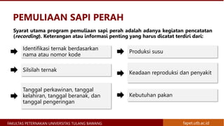 Seleksi pada Ruminansia Besar - Materi Pemuliaan Ternak Dasar | PPTX