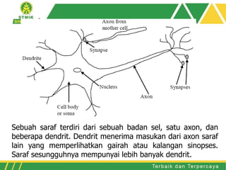 Pertemuan 14 Jaringan Syaraf (Neural Network) | PDF