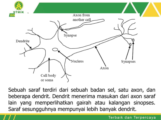 Pertemuan 14 Jaringan Syaraf (Neural Network) | PPT