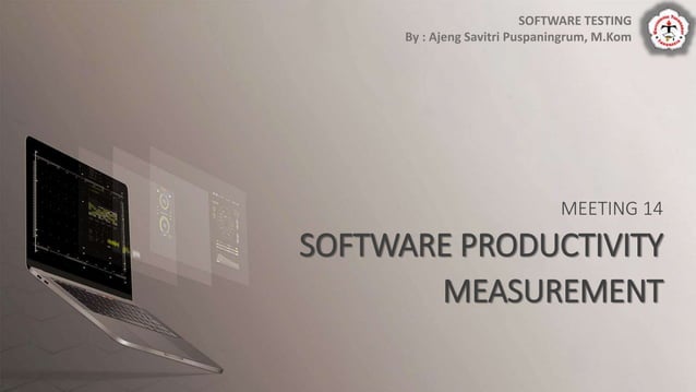 Software Productivity Measurement | PPT