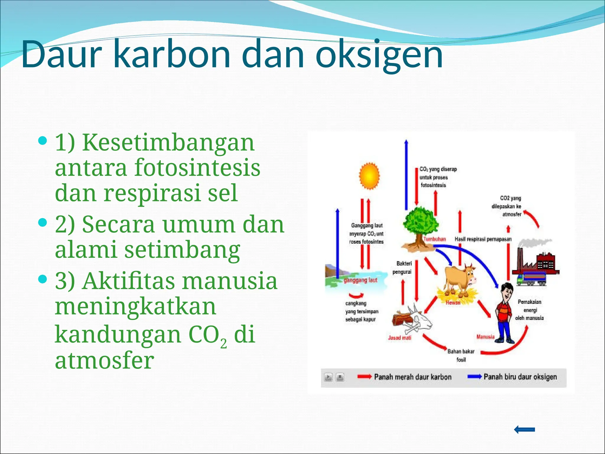 Pertemuan 14 dan 15 ekosistem dan biosfer.ppt