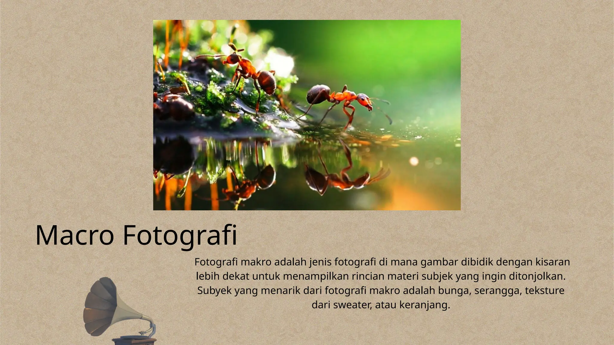 Pertemuan 1 Fotografi, Sejarah, Jenis Fotografi.pptx