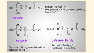 PERTEMUAN 1 KOLINERGIK & ANTIKOLINERGIK.pptx