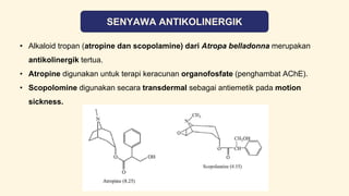 PERTEMUAN 1 KOLINERGIK & ANTIKOLINERGIK.pptx