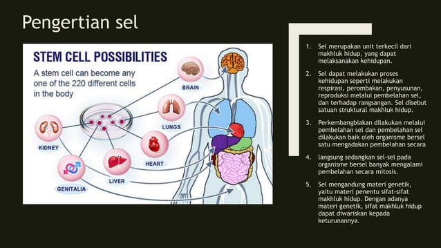 konsep biologi sel pada manusia/ Keperawatan | PPTX