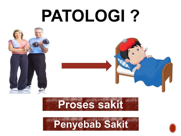 PATOLOGI anatomi sesuai dengan teoritis yang harus dijelaskan | PPT