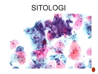 PATOLOGI anatomi sesuai dengan teoritis yang harus dijelaskan | PPT