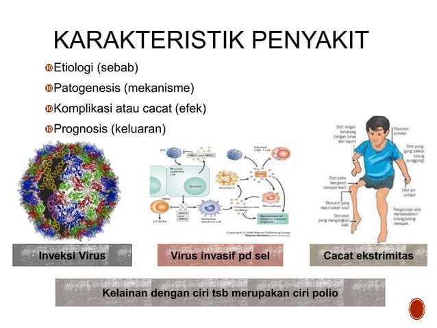 PATOLOGI anatomi sesuai dengan teoritis yang harus dijelaskan | PPT