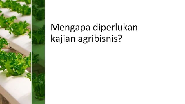 Konsep Agribisnis adalah suatu kesatuan kegiatan meliputi salah satu ...