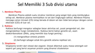 Pertemuan 1 Molekul Biologi Sebagai Target Aksi Obat.pdf