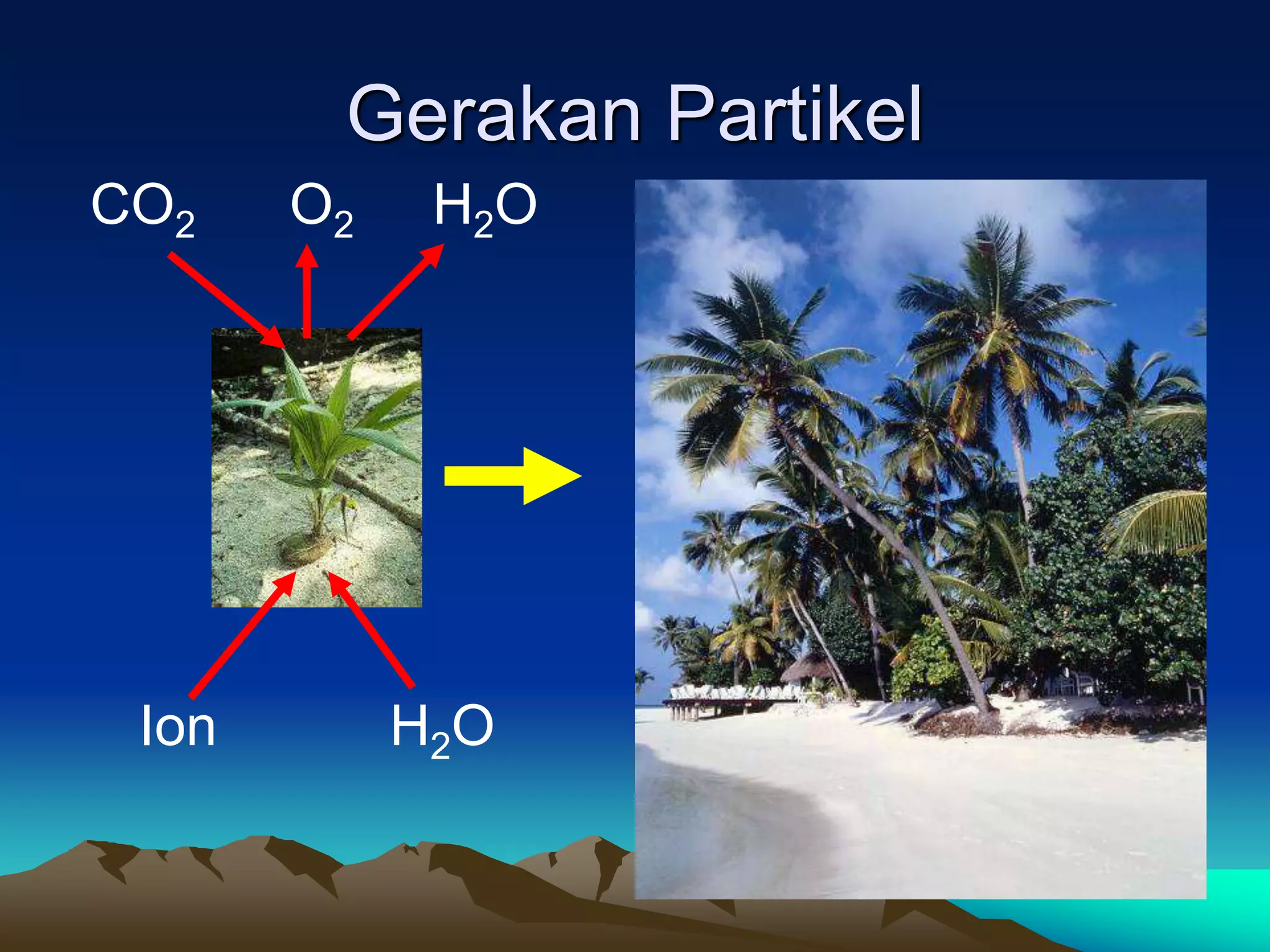 pertemuan 1 (pendahuluan).ppt