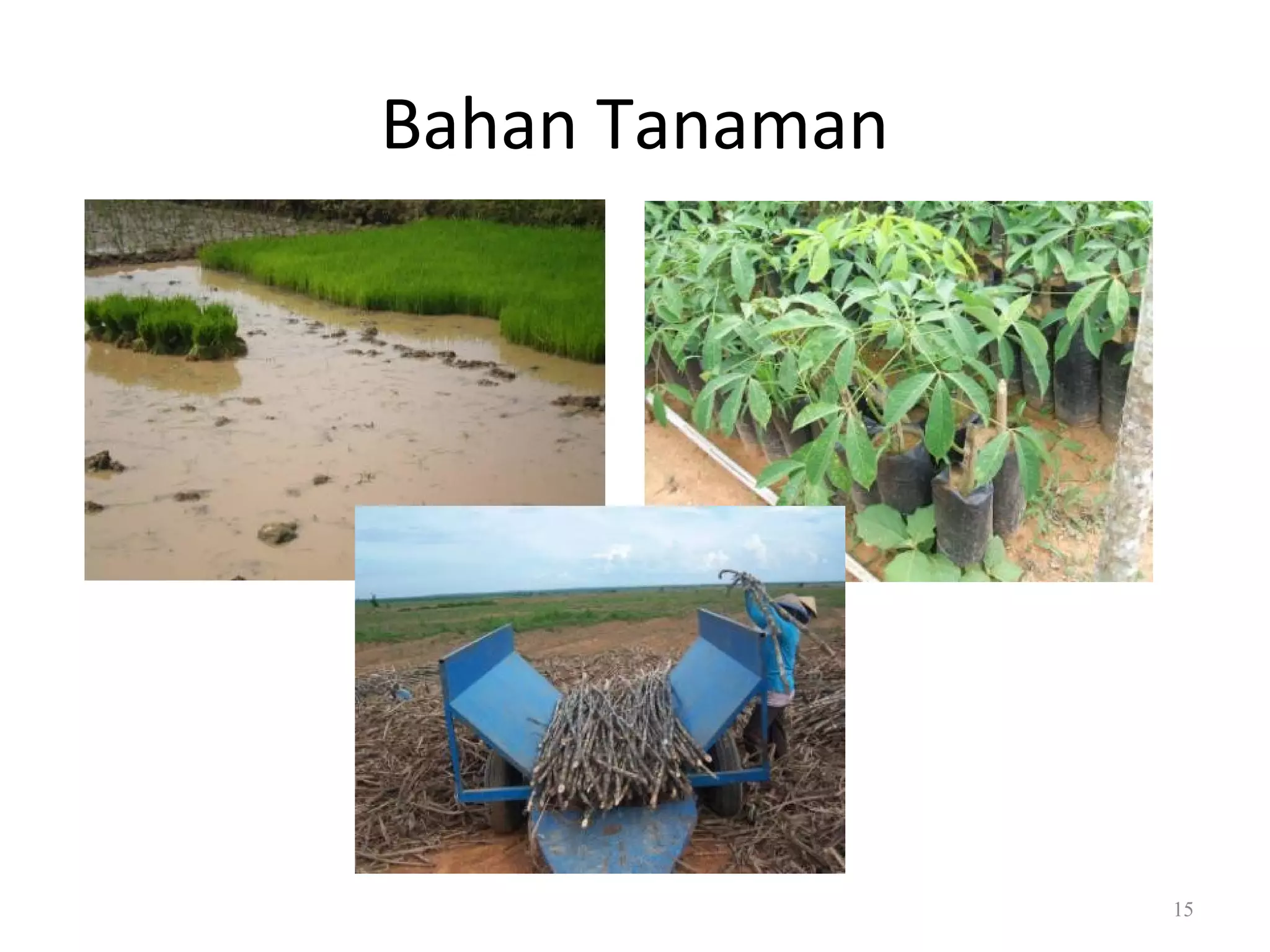 Pertemuan 1 prinsip dan teknik budidaya tanaman | PPT