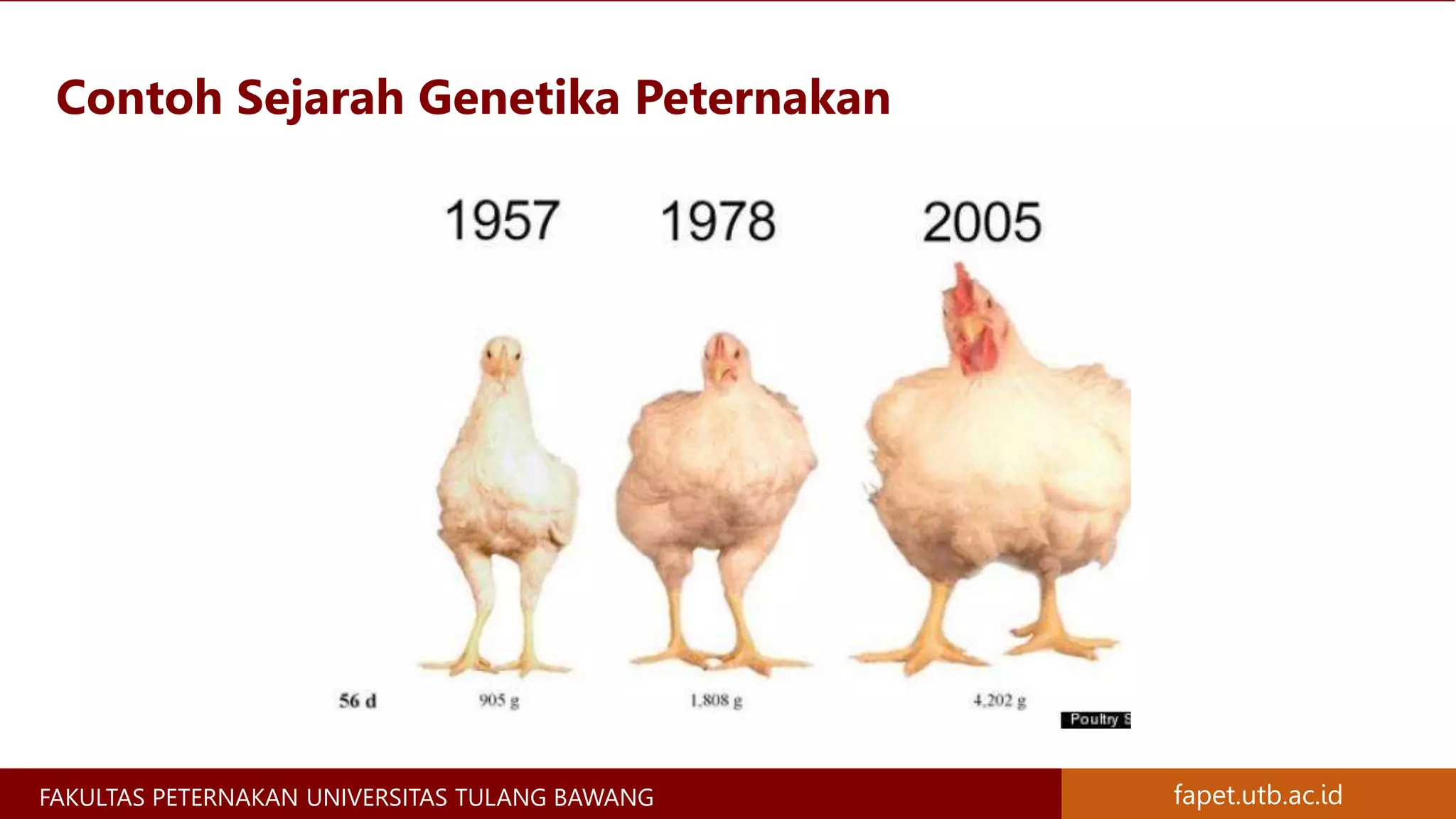 Pengertian Genetika Ternak - Materi Genetika Ternak | PPTX