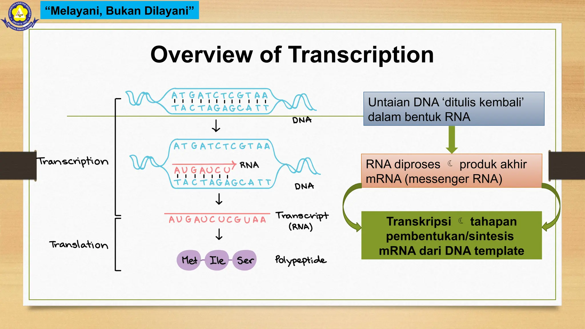 Genetics and Molecular Biology: Gene Transcription and RNA Modification ...