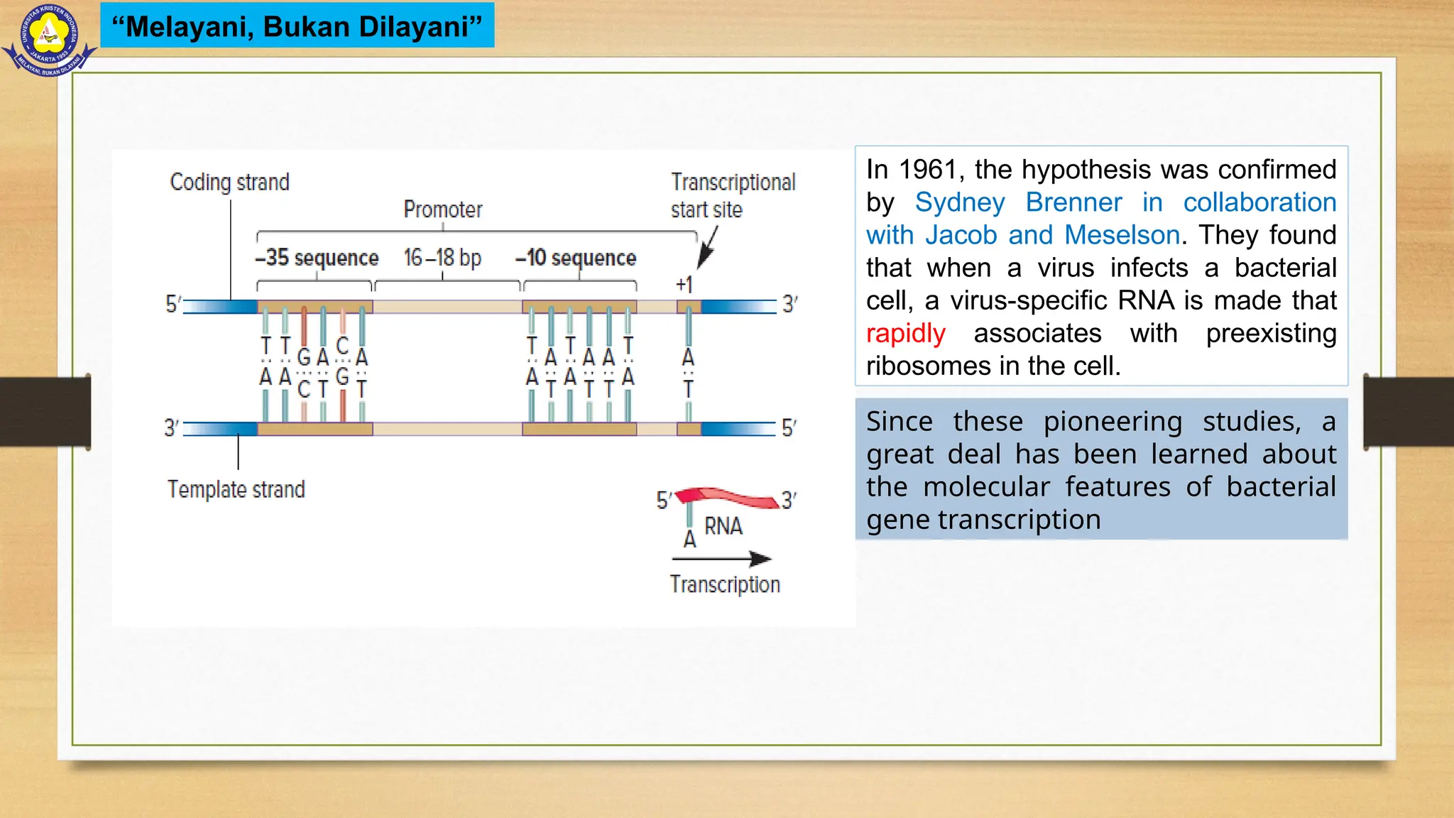 Genetics and Molecular Biology: Gene Transcription and RNA Modification ...