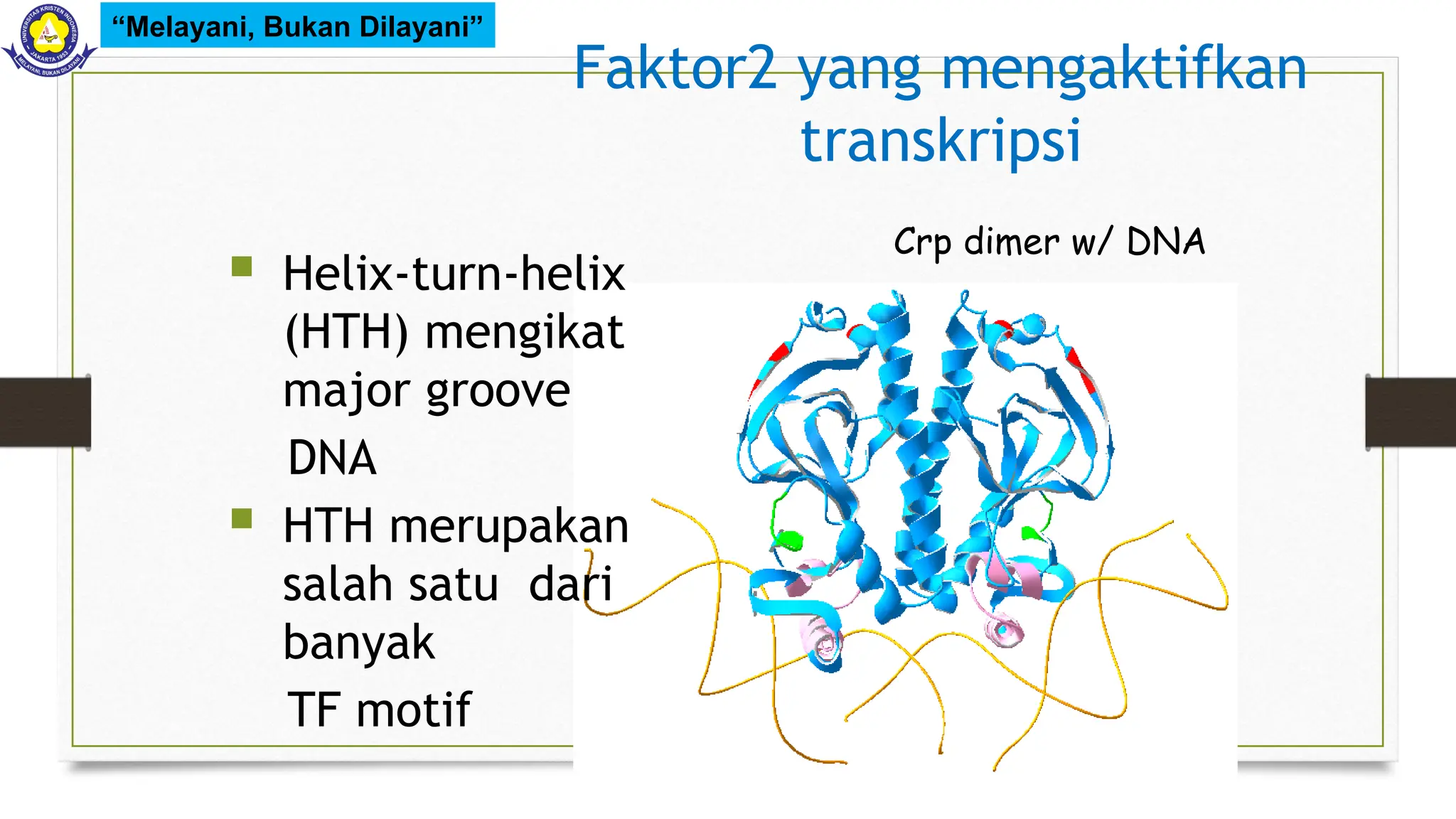 Genetics and Molecular Biology: Gene Transcription and RNA Modification ...
