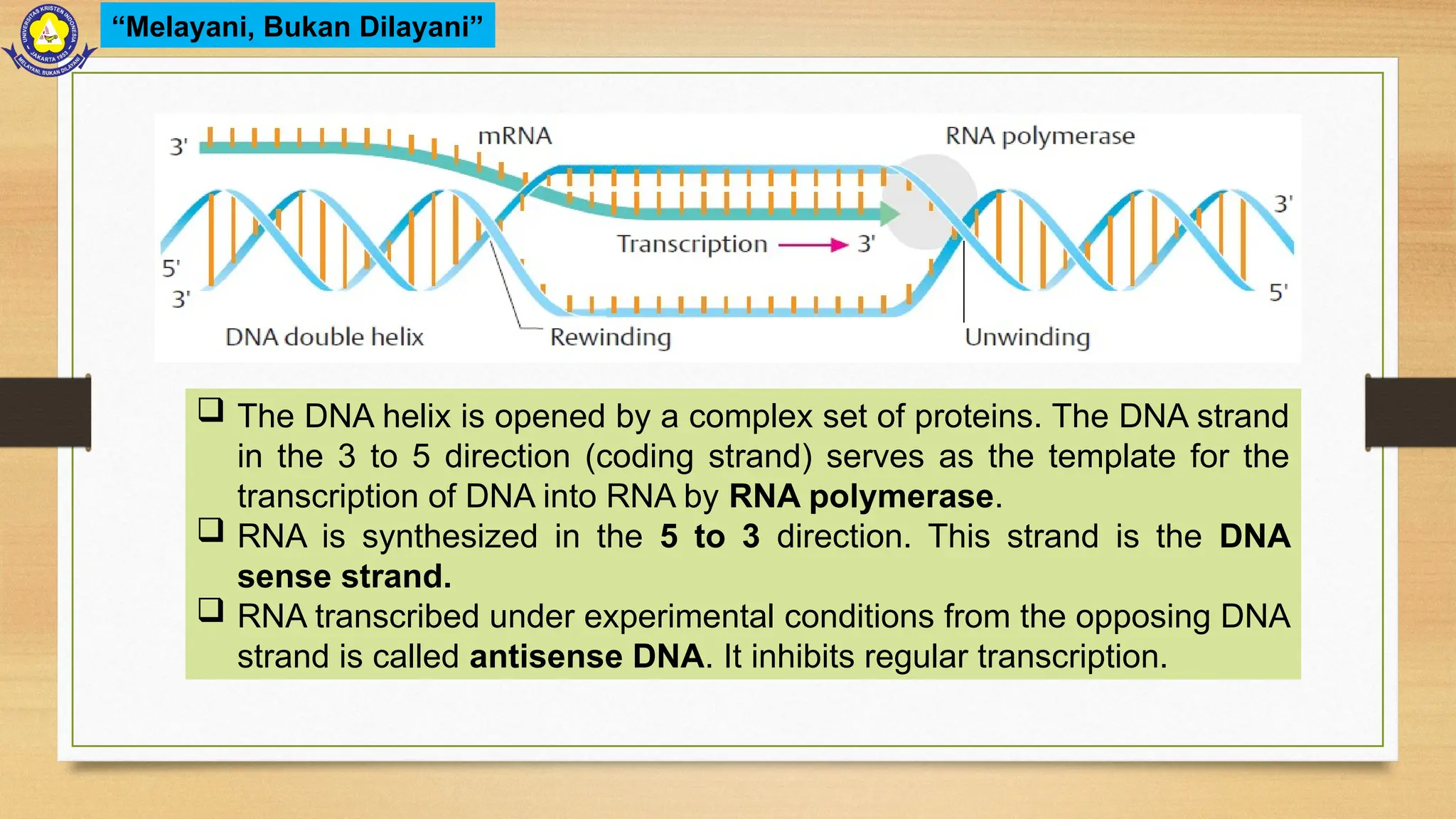 Genetics and Molecular Biology: Gene Transcription and RNA Modification ...