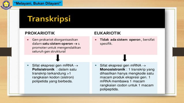 Genetics and Molecular Biology: Gene Transcription and RNA Modification ...