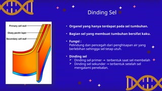 Pertemuan 2. Struktur dan Fungsi Sel Tumbuhan.pptx