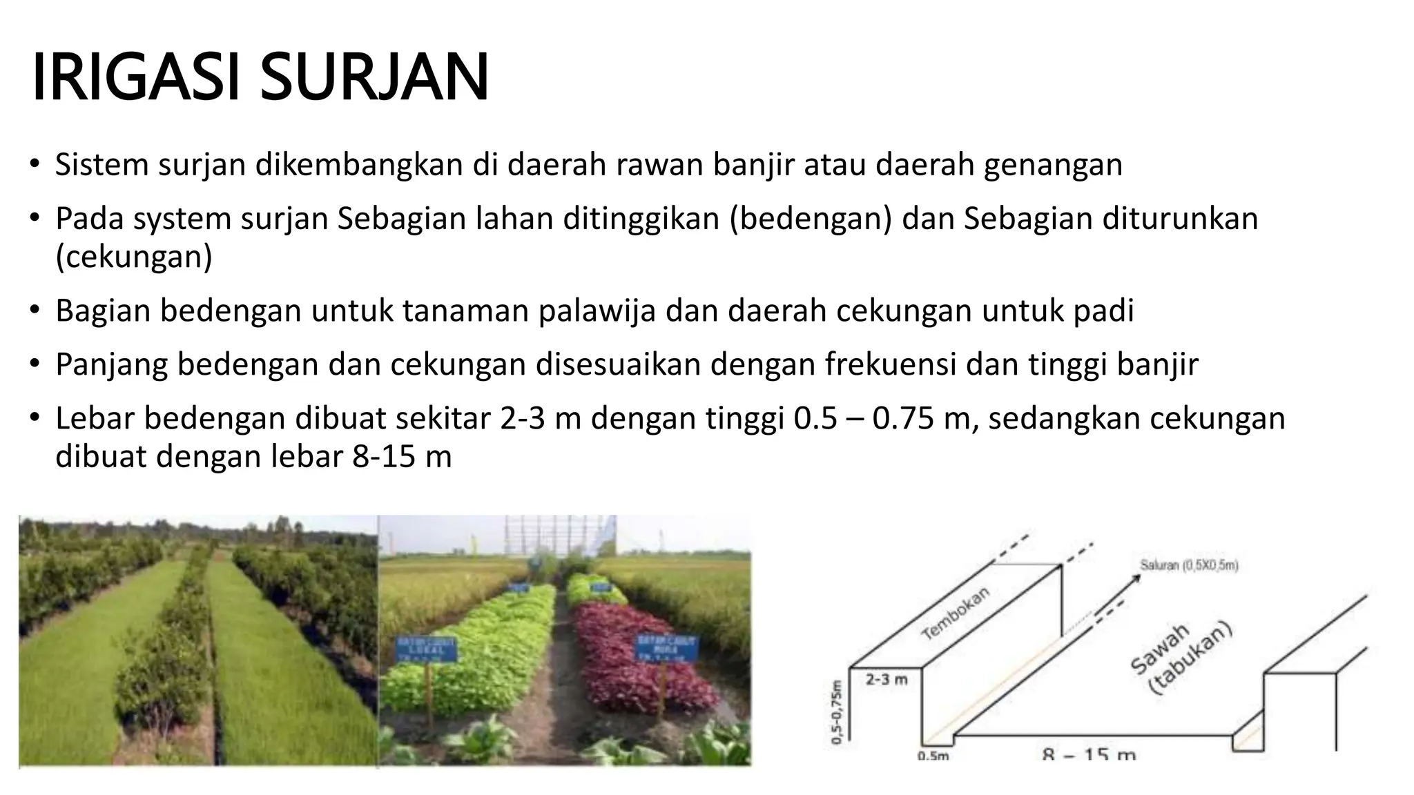 Pertemuan 2-Jaringan Irigasi DAN SEMUANYA HSVDHHDGEY.pptx