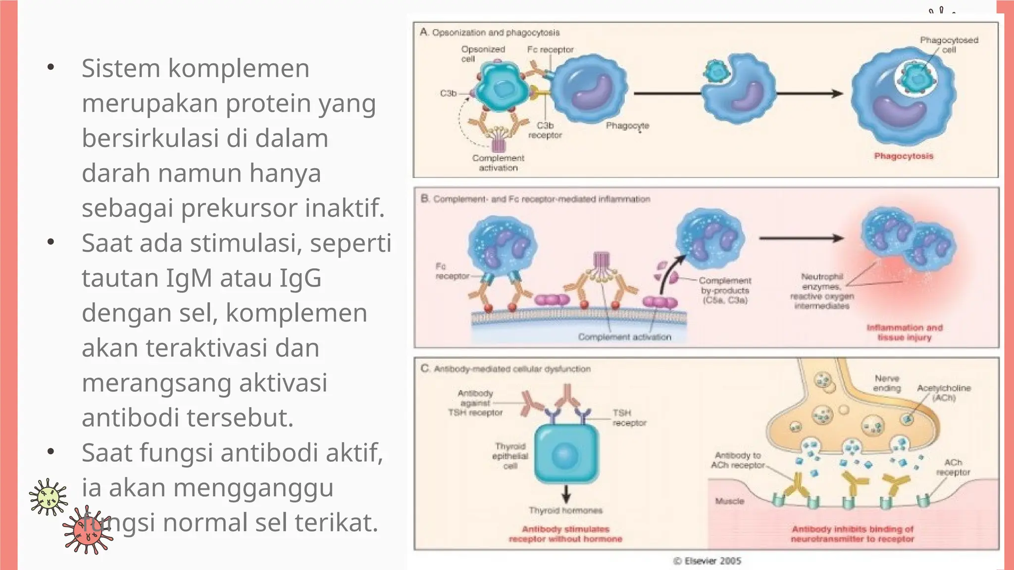 Pertemuan 2 - Reaksi Hipersensitifitas.pptx