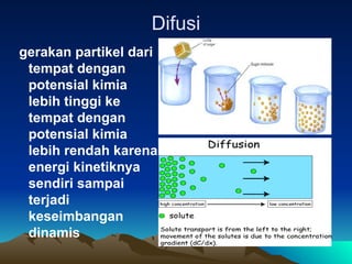 pertemuan 2 (difusi dan osmosis) BIOLOGI | PPTX