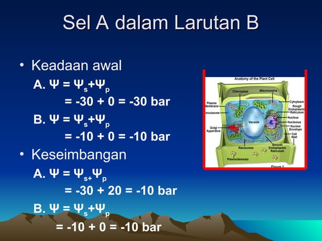 pertemuan 2 (difusi dan osmjjjjjjosis).ppt
