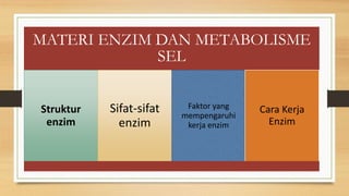 Pertemuan 2 enzim | PPT